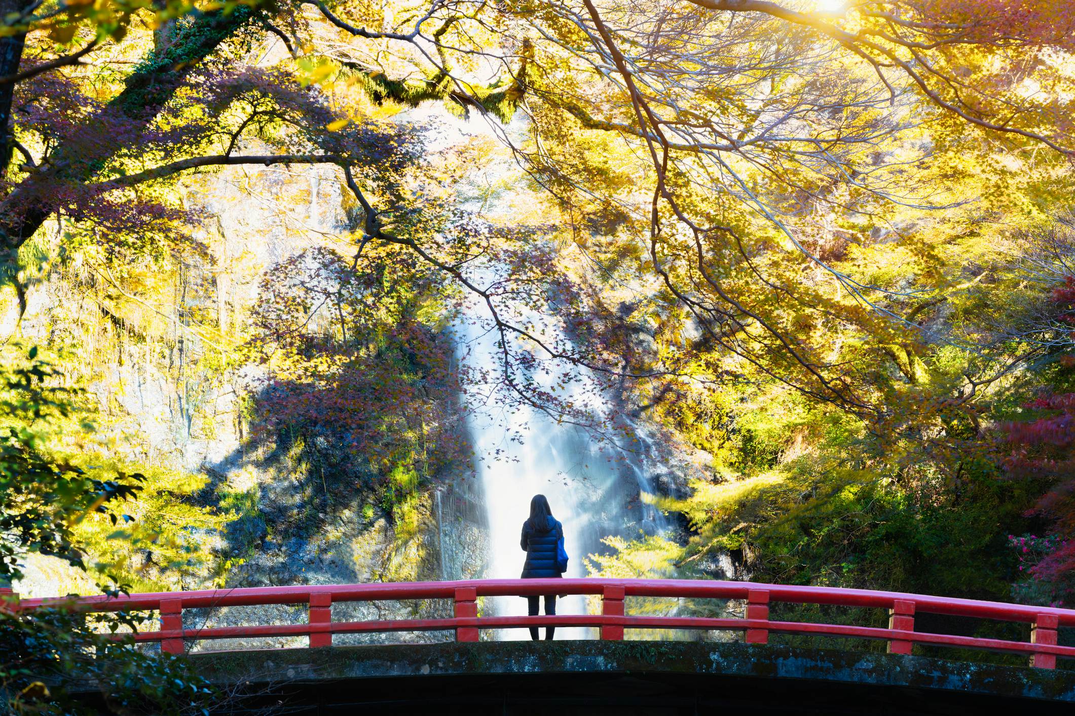 15 things to know before traveling to Japan - Lonely Planet