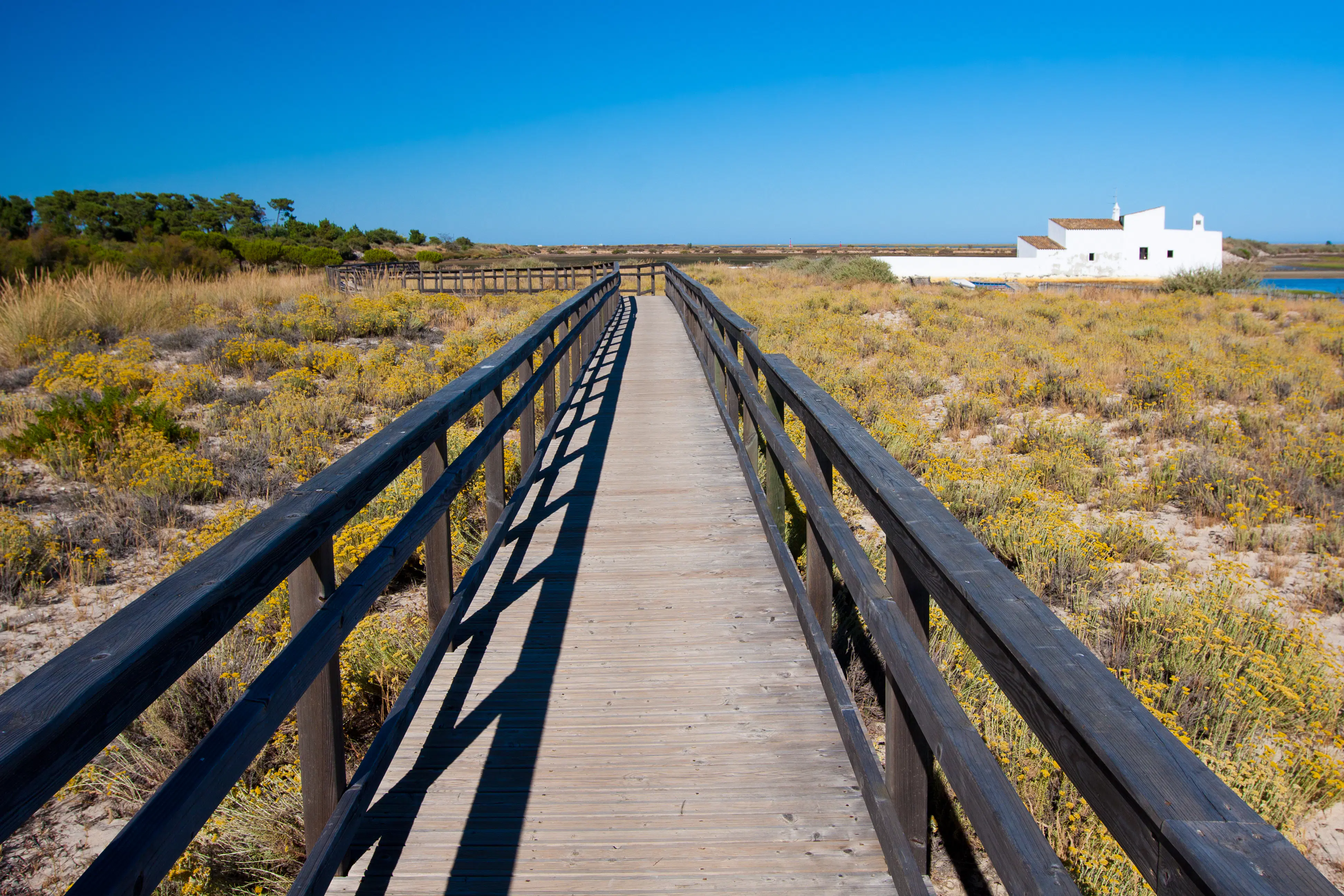 Faro travel - Lonely Planet | Portugal, Europe