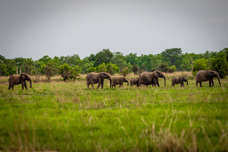 11 ways to visit Benin on a budget - Lonely Planet