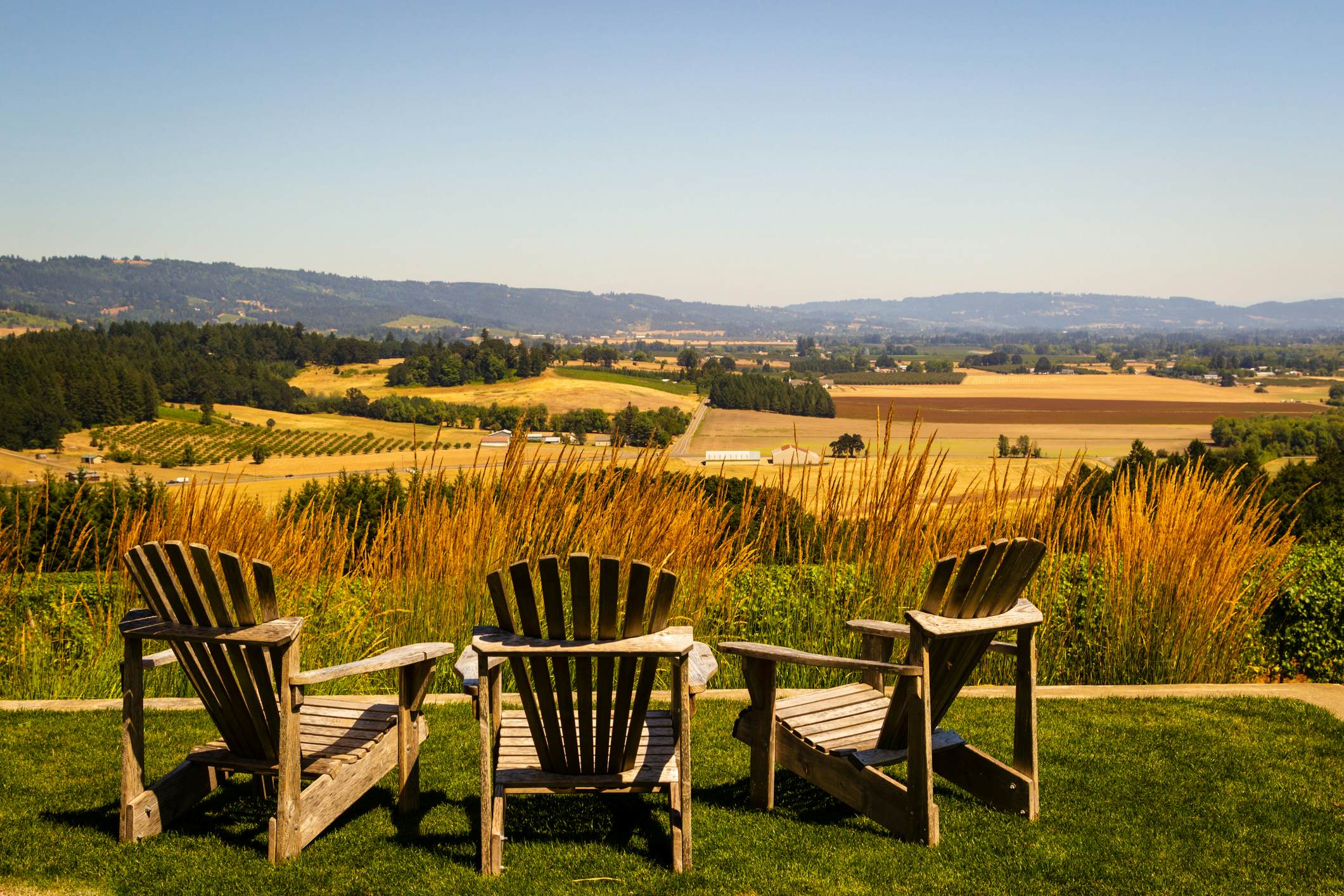 A first-timer's guide to the Willamette Valley, Oregon - Lonely Planet