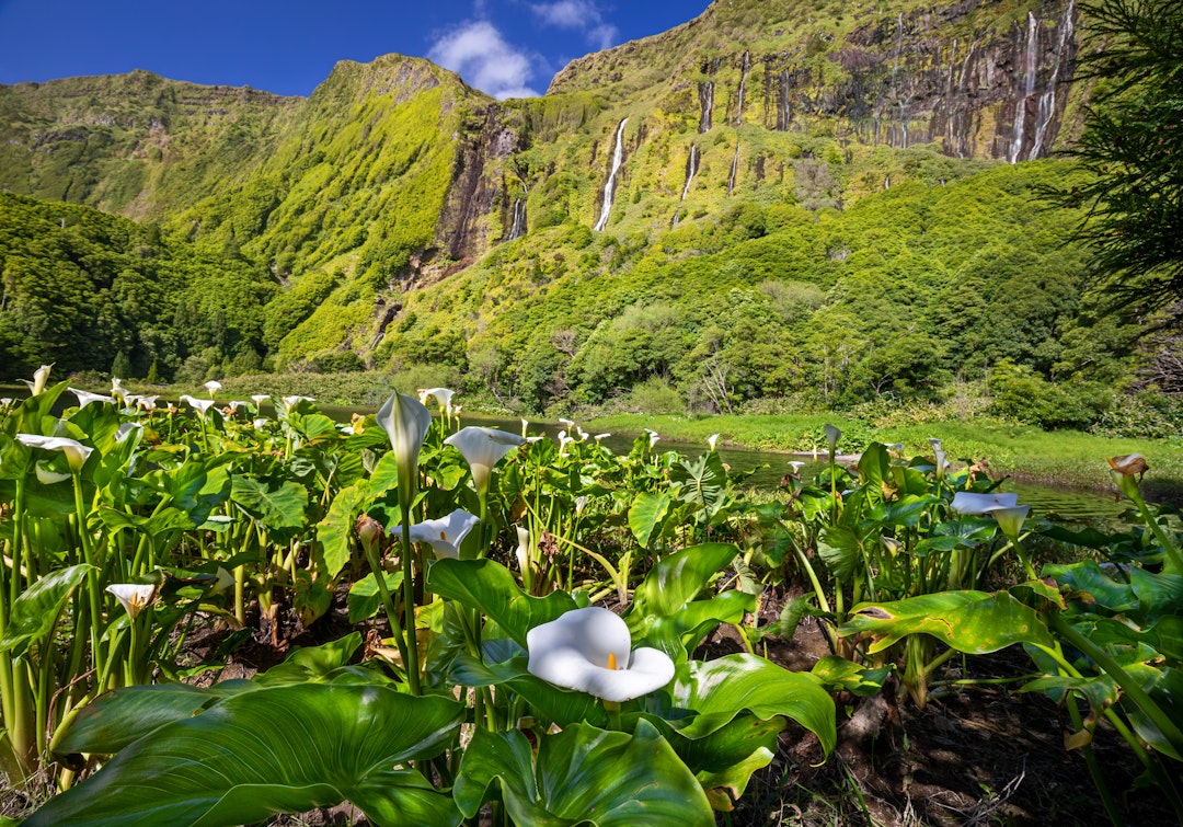 Best islands to visit in the Azores - Lonely Planet