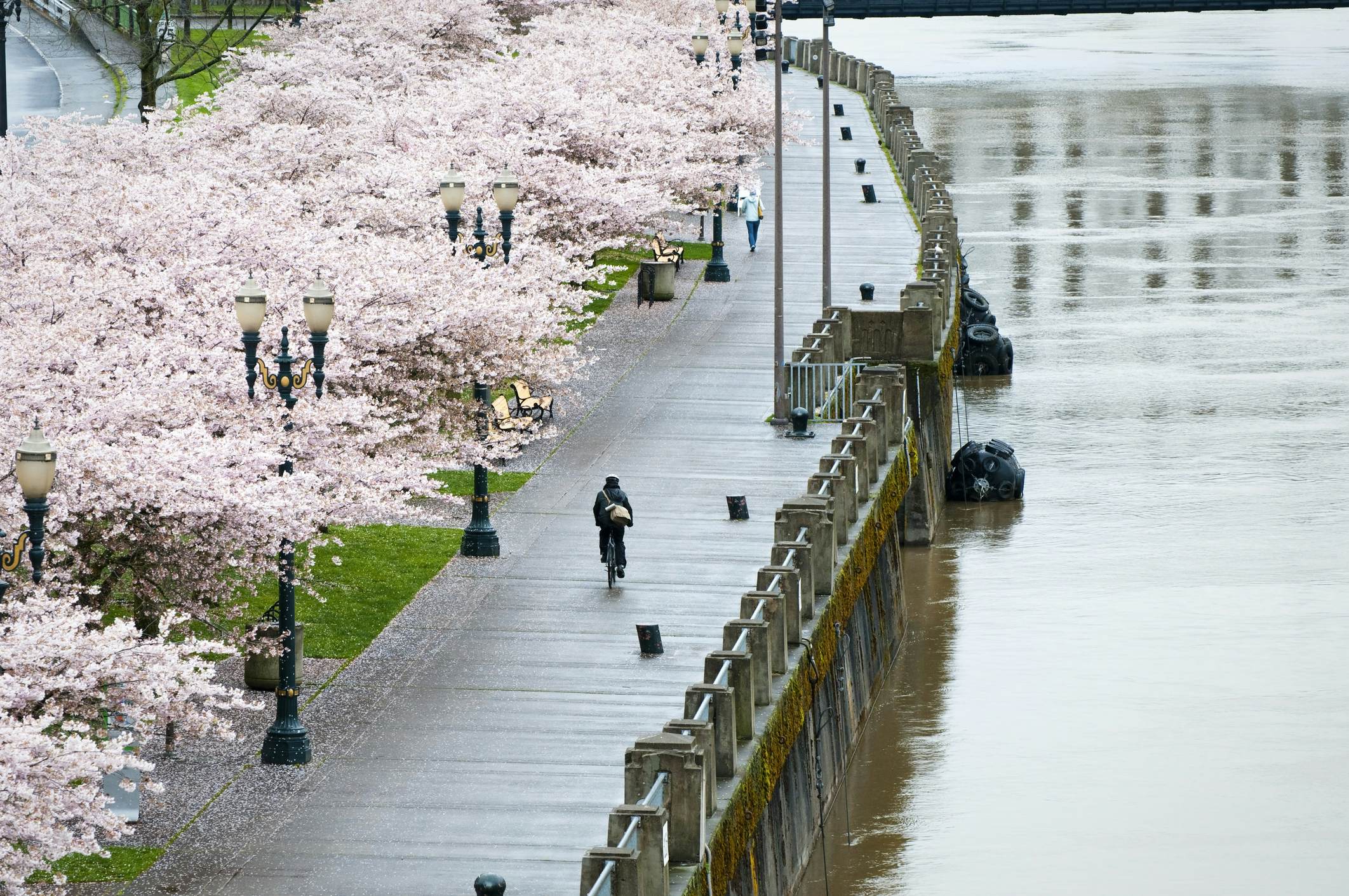 The best time to visit Portland, Oregon - Lonely Planet