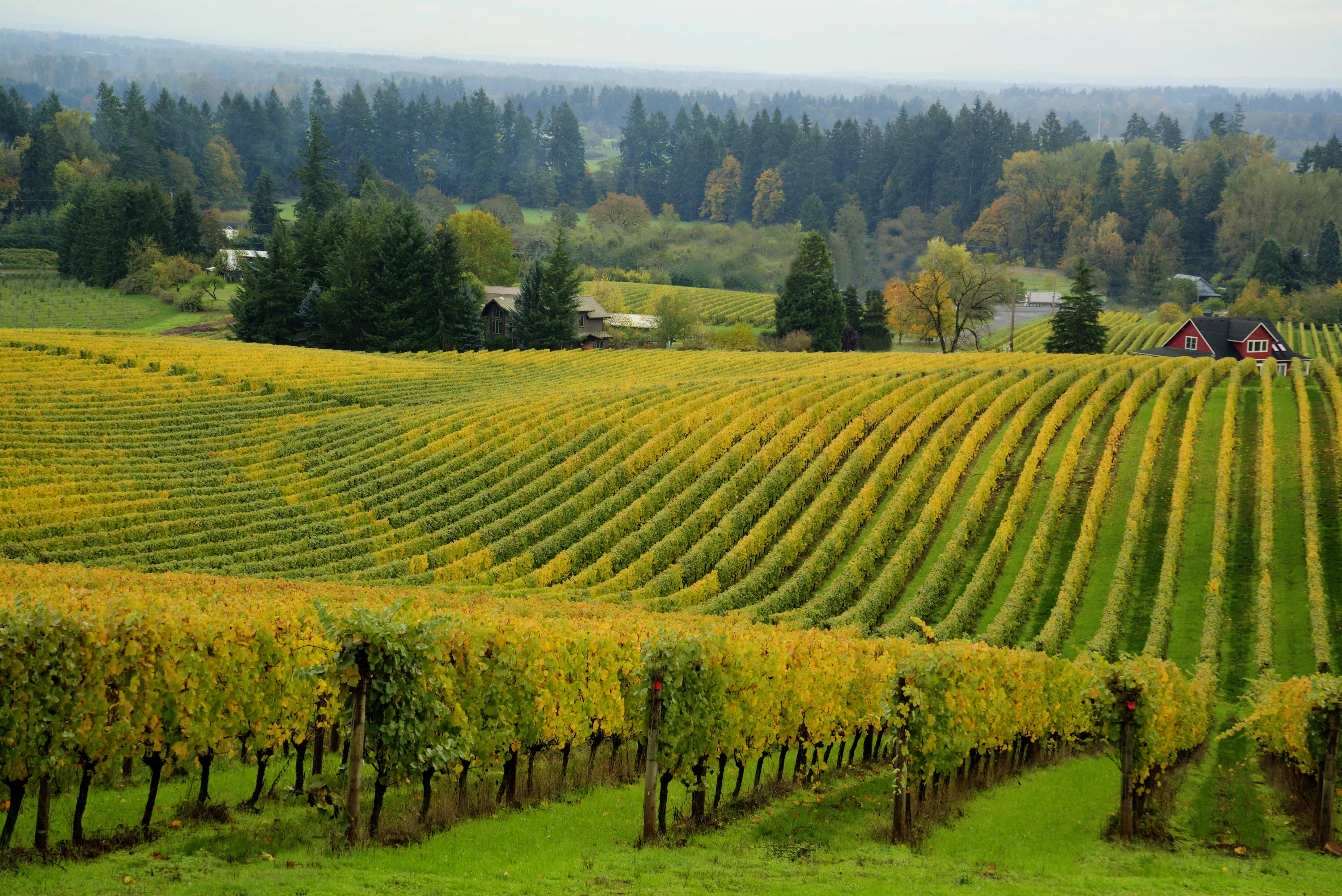 Best time to visit Oregon - Lonely Planet