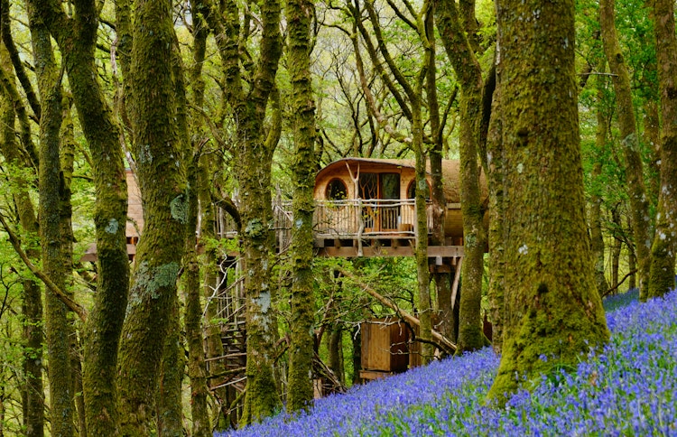 7 of Europe’s best tree house stays for families - Lonely Planet
