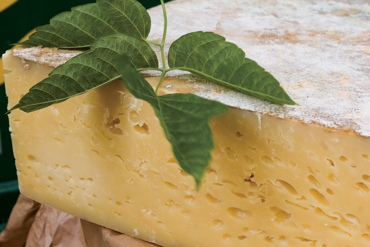 Why you need to try Türkiye's cheeses - Lonely Planet