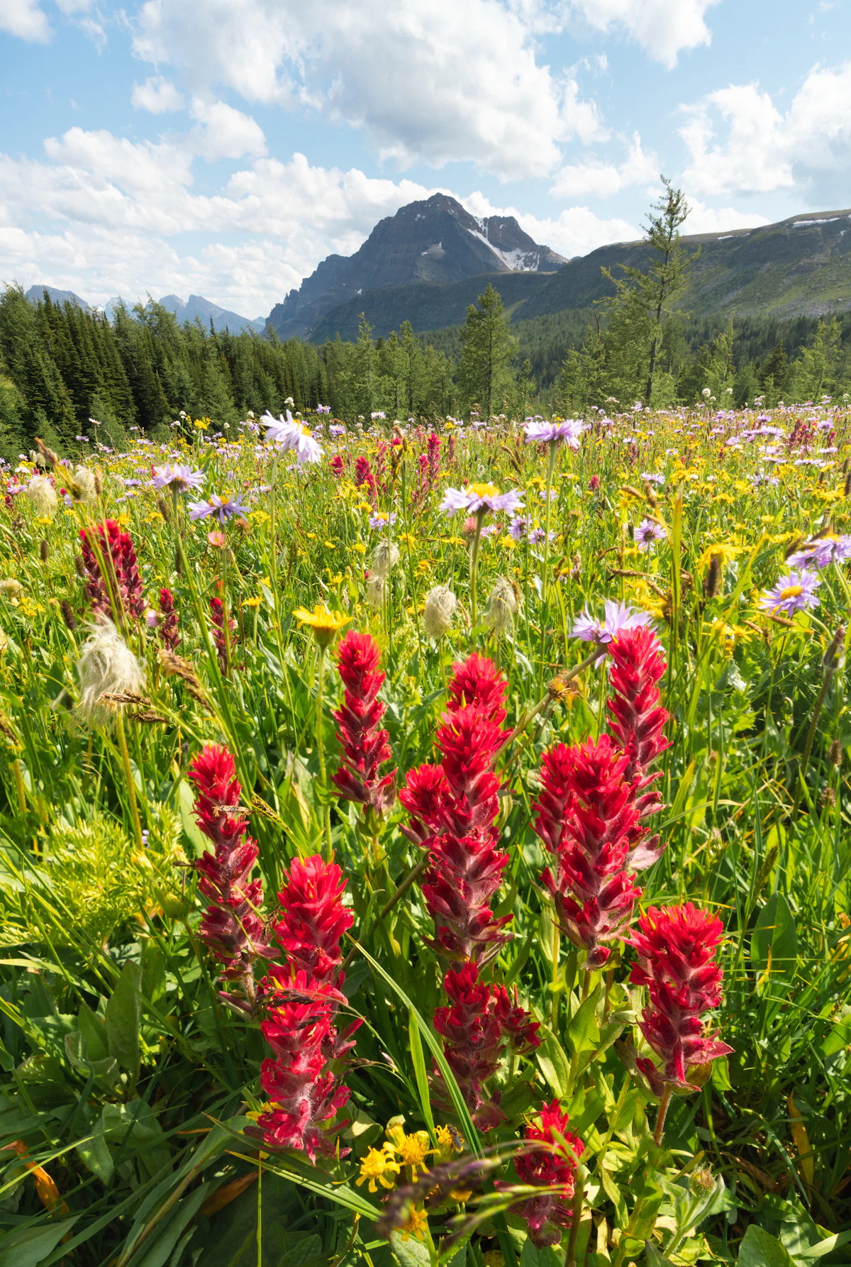 A first-timer's guide to Banff National Park - Lonely Planet