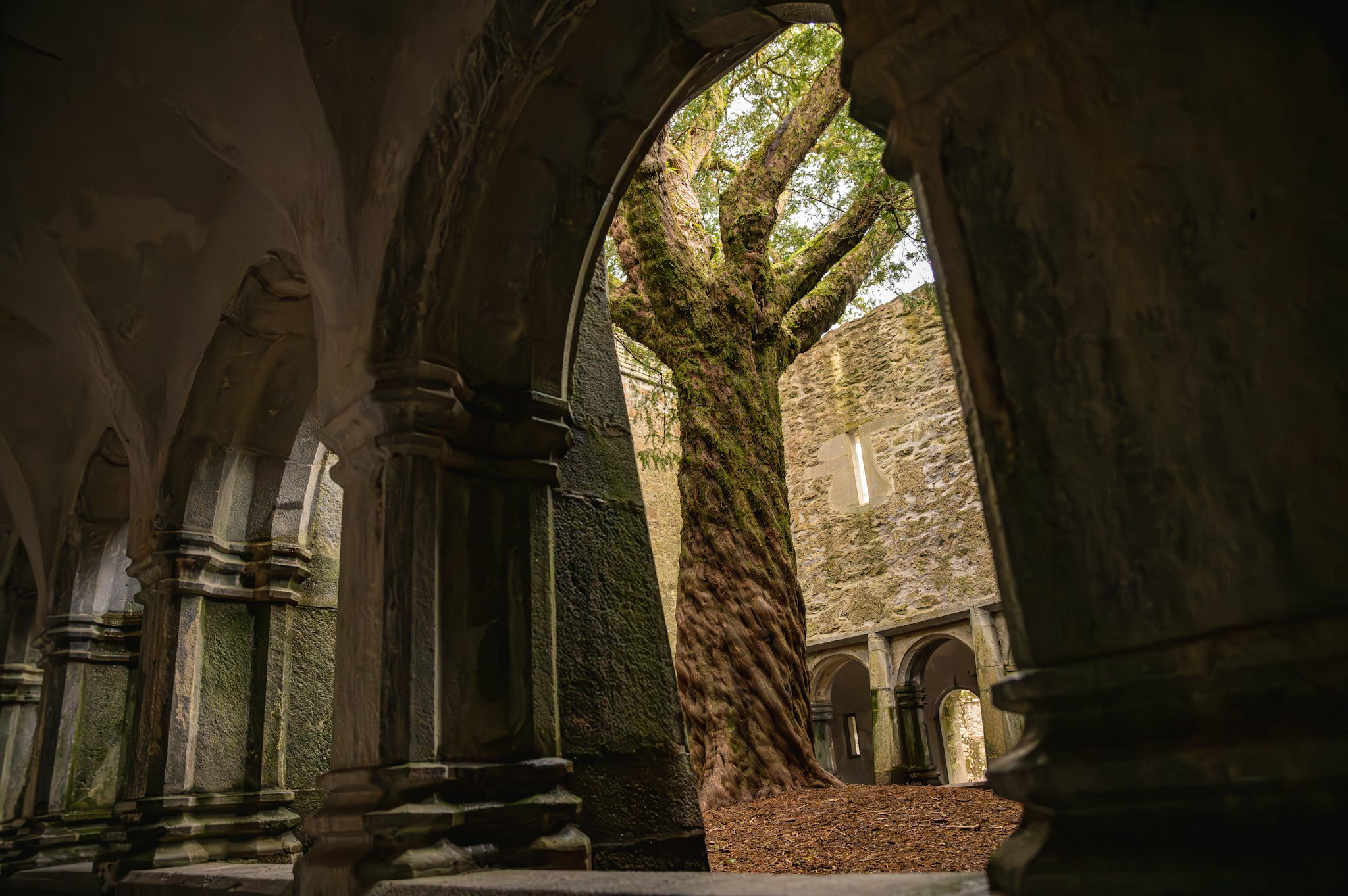 Coasts, Castles and Culture: 9 days on the Wild Atlantic Way - Lonely ...