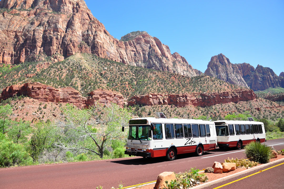 A guide to Zion National Park, Utah - Lonely Planet