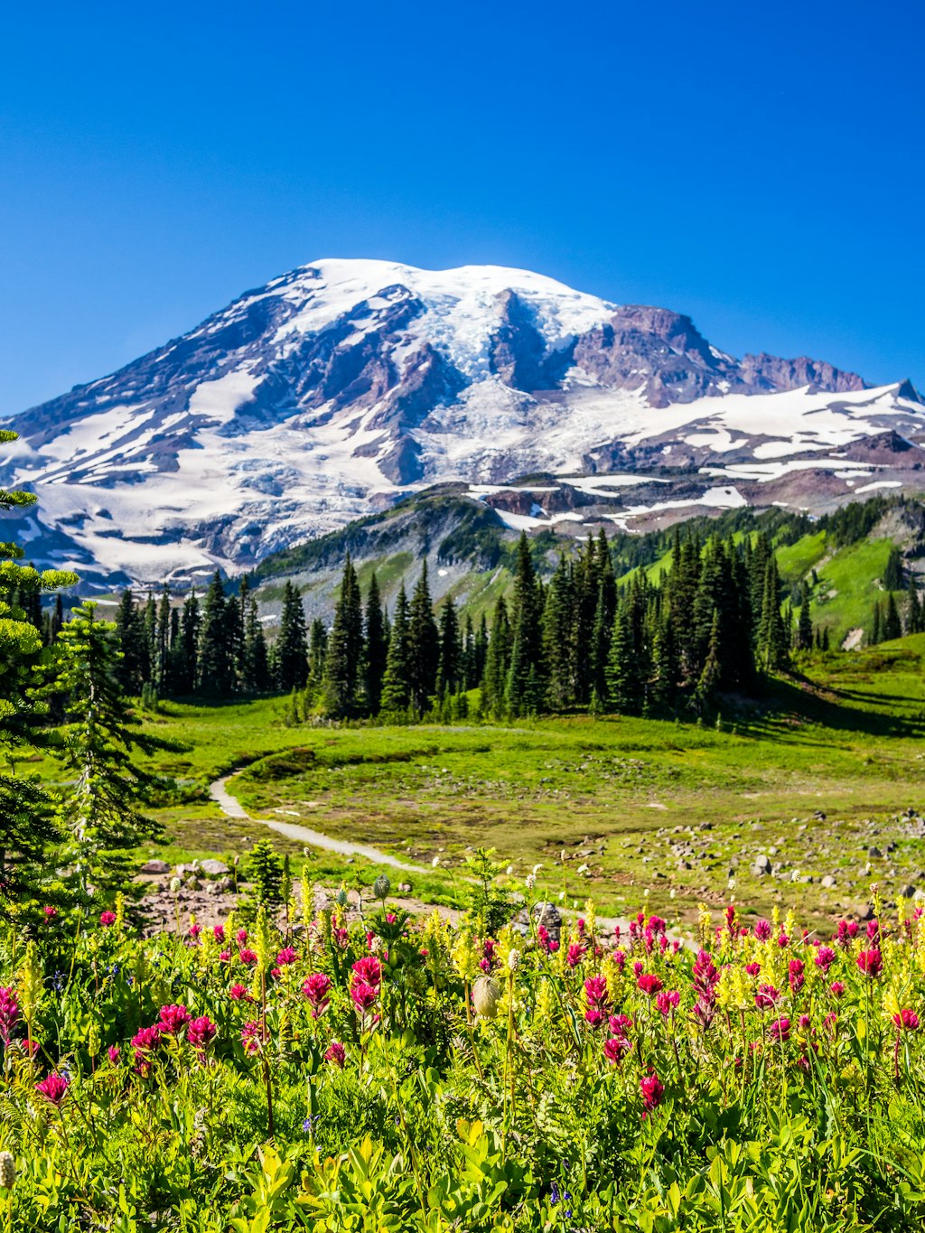 18 of the best things to do in Washington state - Lonely Planet