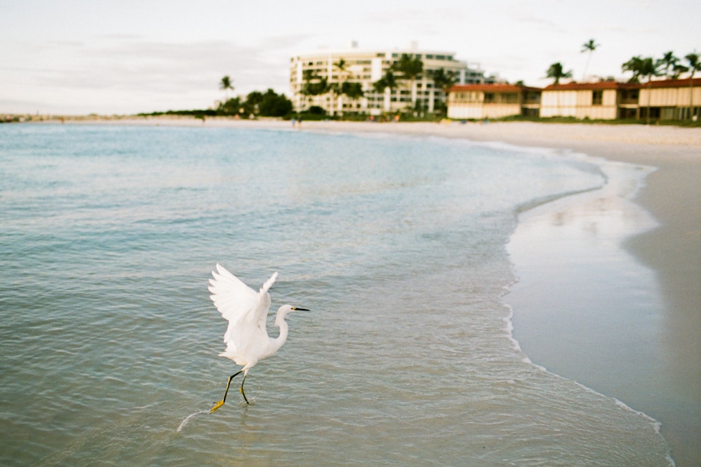 A first-time guide to Naples, Florida - Lonely Planet
