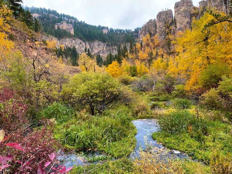 A first-timer's guide to South Dakota - Lonely Planet
