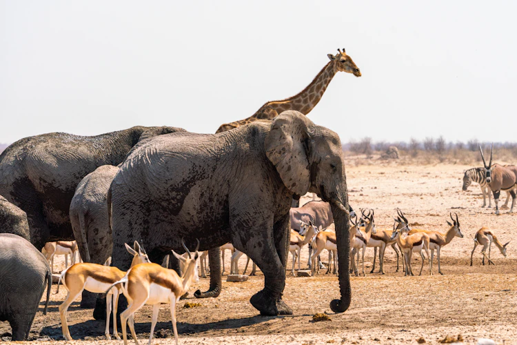 The best places to visit in September 2024 – Lonely Planet - Lonely Planet