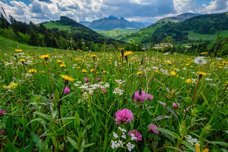 The best time to visit Slovakia - Lonely Planet