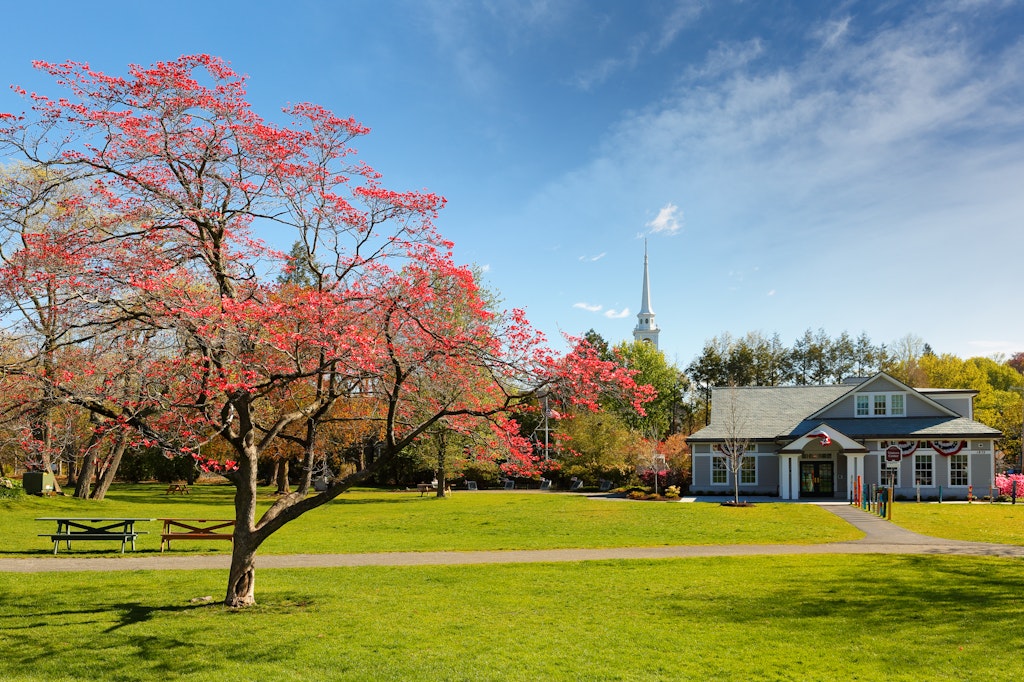 3 of the best off-road cycling routes in Boston - Lonely Planet