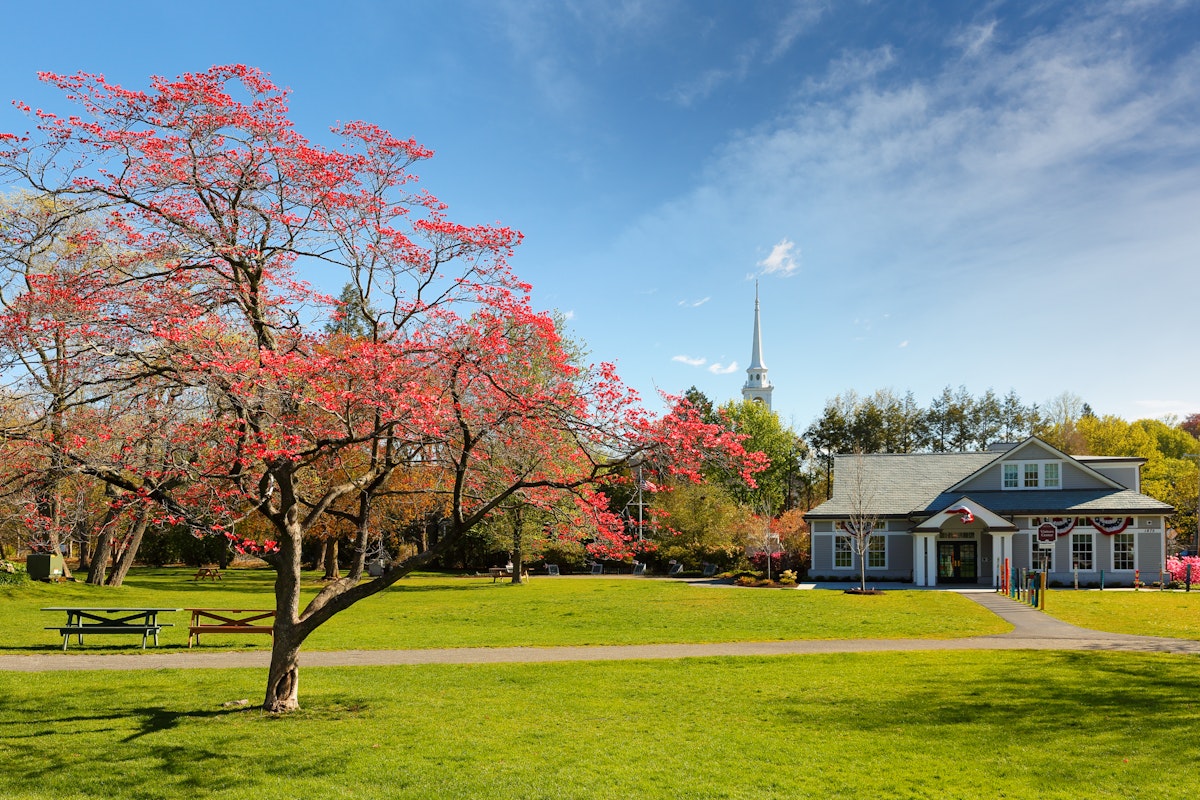 3 of the best off-road cycling routes in Boston - Lonely Planet