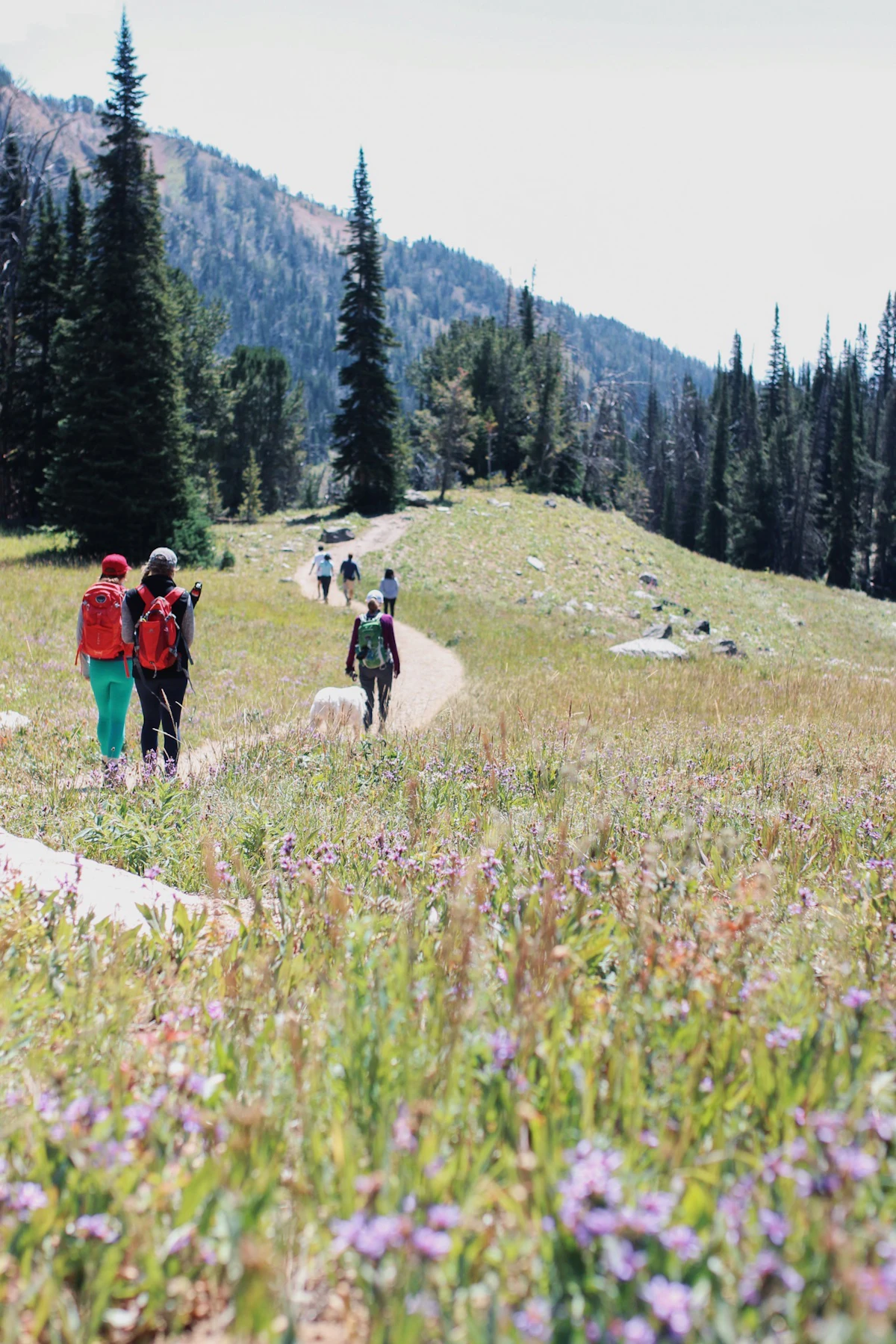 How to spend 4 days in Big Sky, Montana - Lonely Planet
