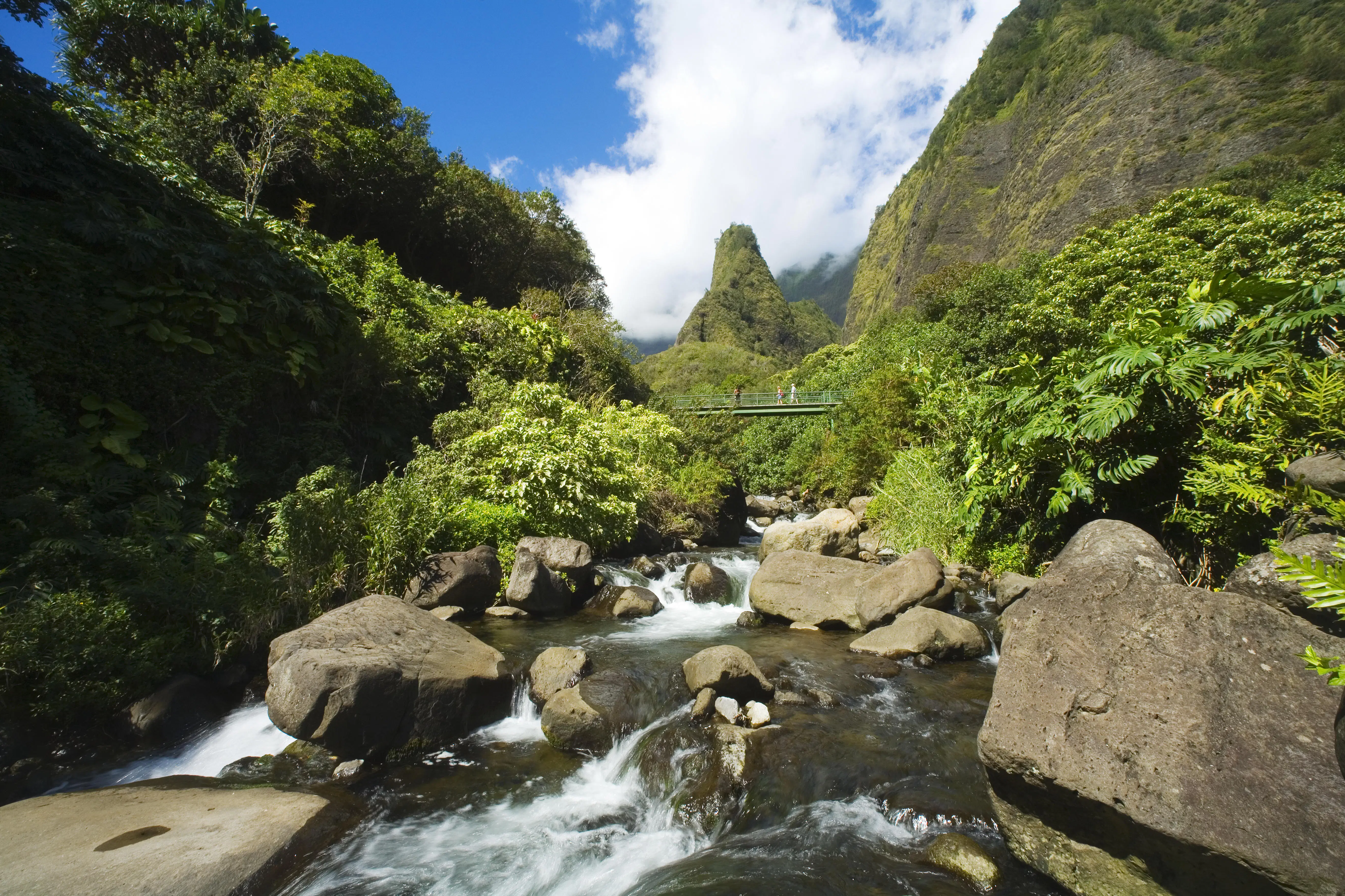 The Lahaina Fire, water rights and Native Hawaiians - Lonely Planet