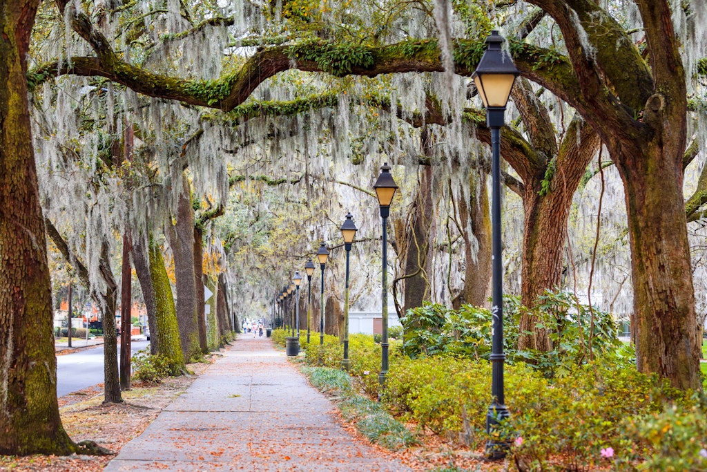 Savannah vs Charleston: which Southern city is best? - Lonely Planet