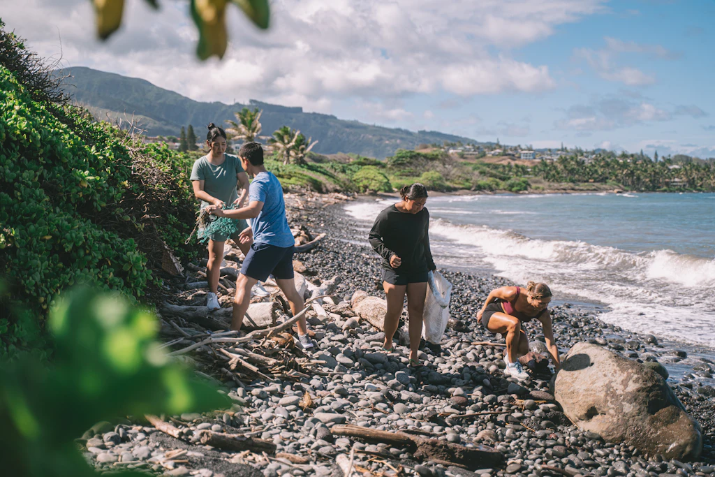 How to volunteer in Maui - Lonely Planet