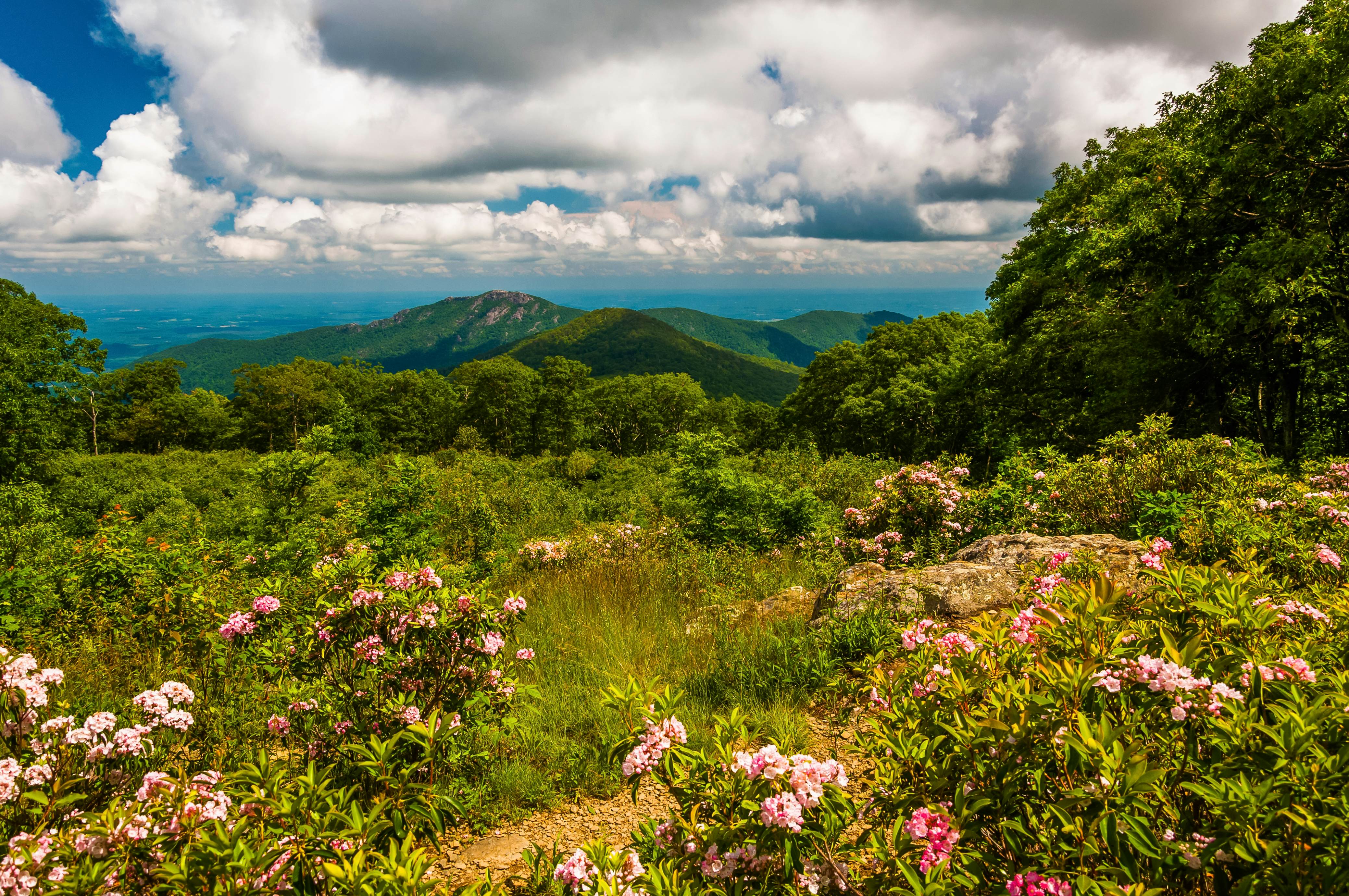 A first-time guide to Shenandoah National Park - Lonely Planet