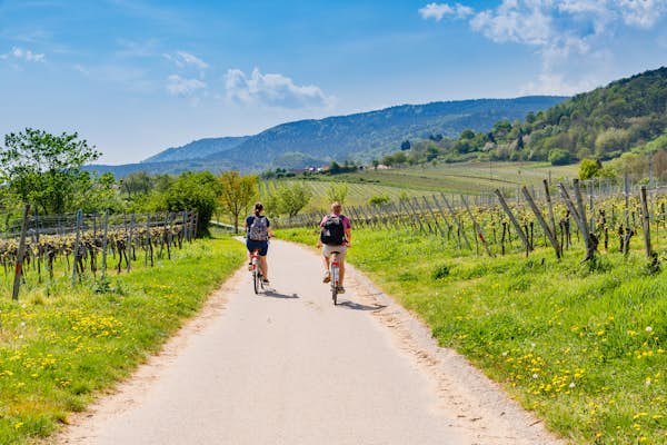 8 of the best cycling routes in Germany - Lonely Planet