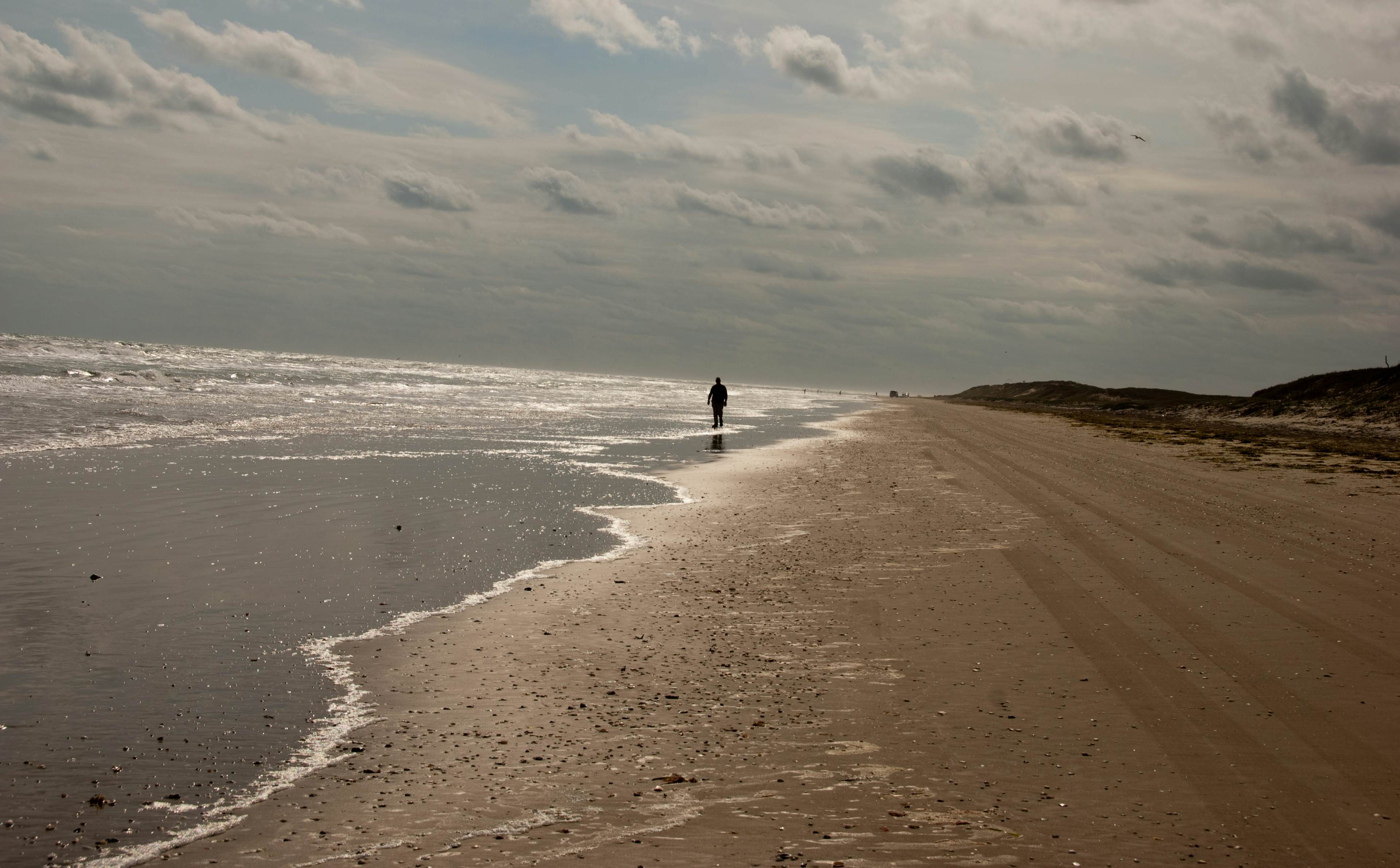 12 best beaches in Texas - Lonely Planet