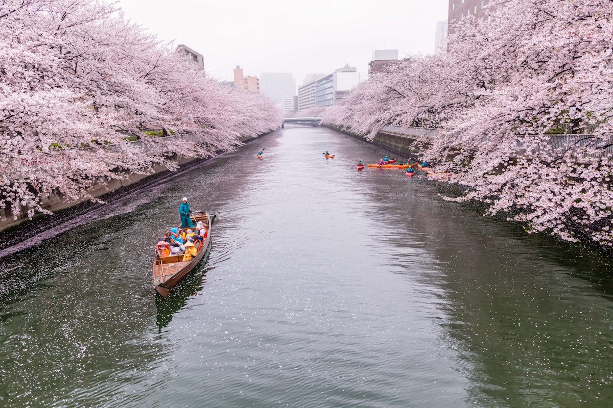Best neighborhoods in Tokyo - Lonely Planet