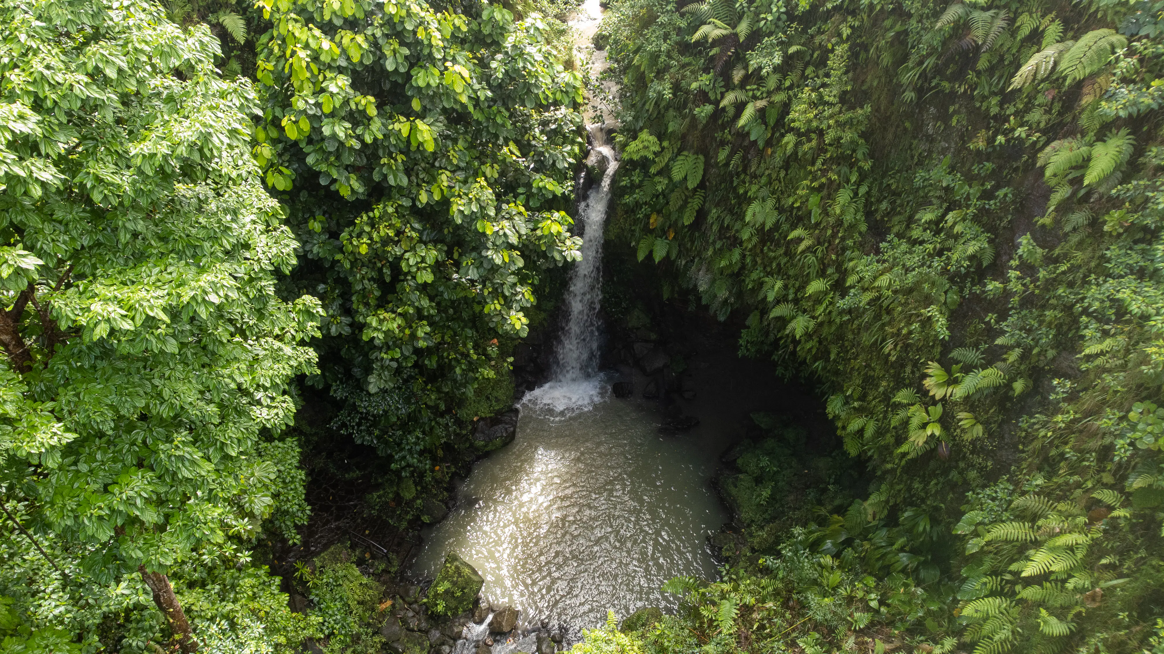 8 best things to do in Dominica - Lonely Planet