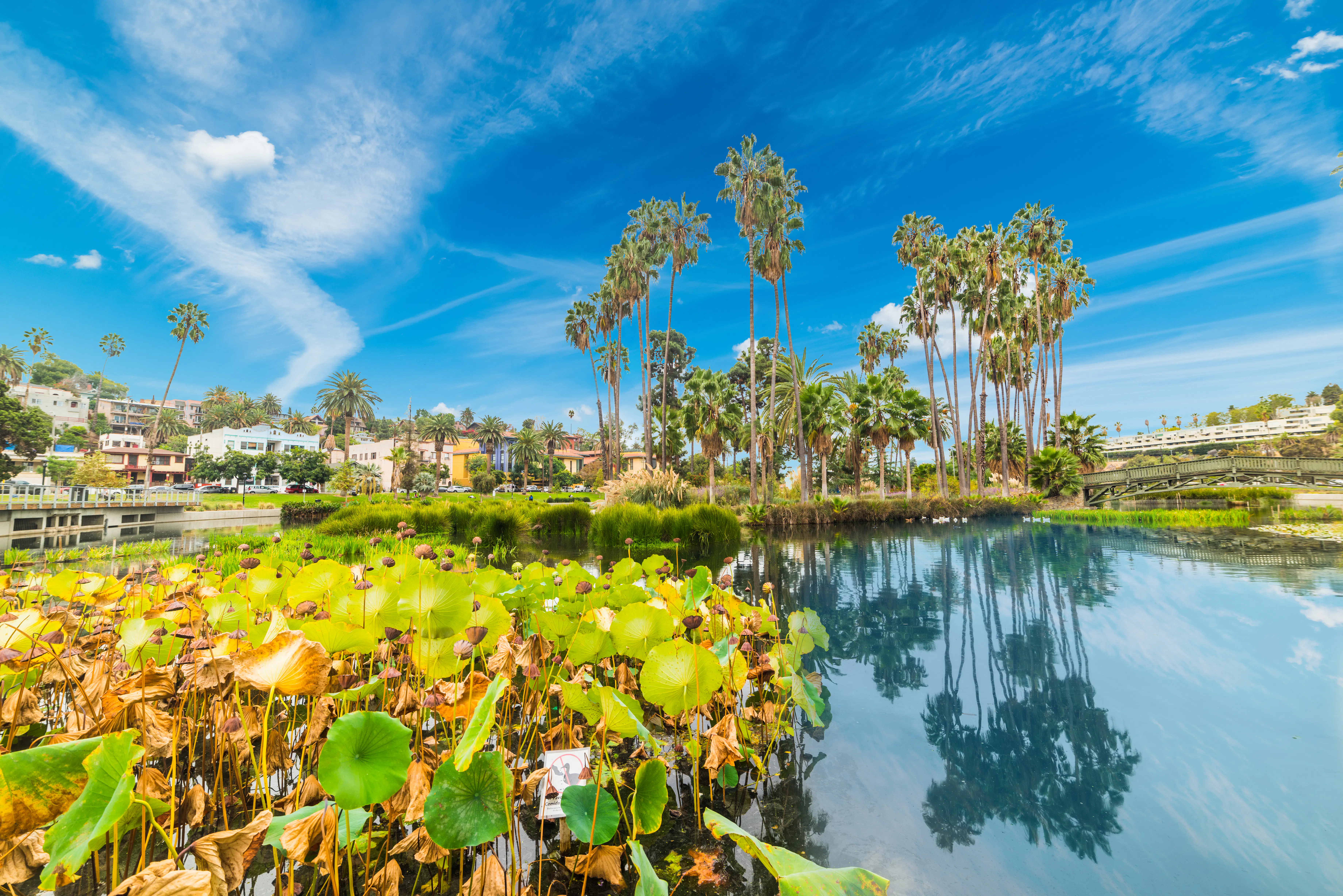 Best Parks in Los Angeles - Lonely Planet