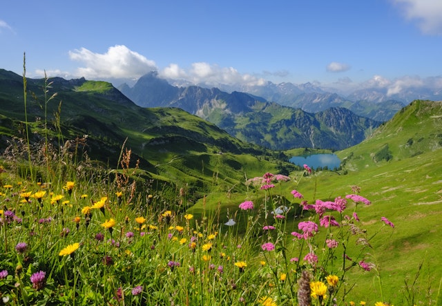 11 things to know before going to Bavaria, southern Germany - Lonely Planet