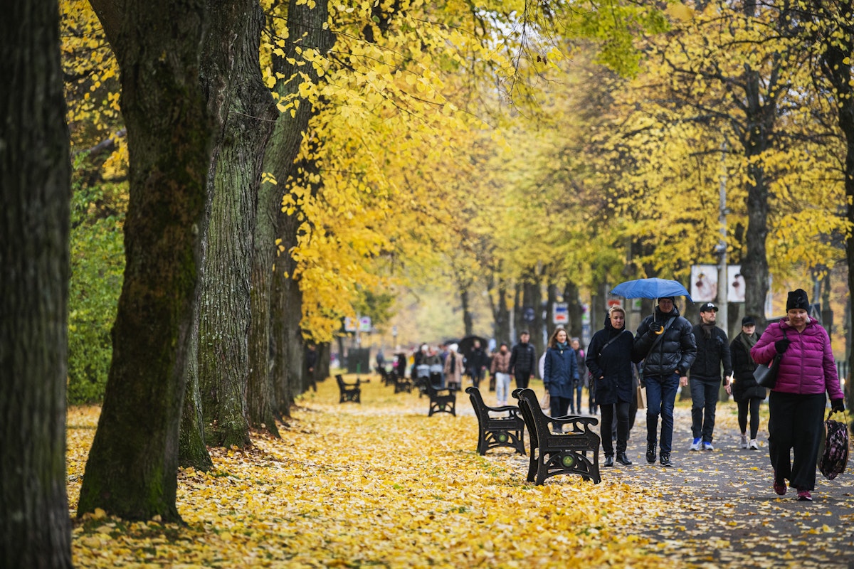 7 of the best neighborhoods in Stockholm - Lonely Planet