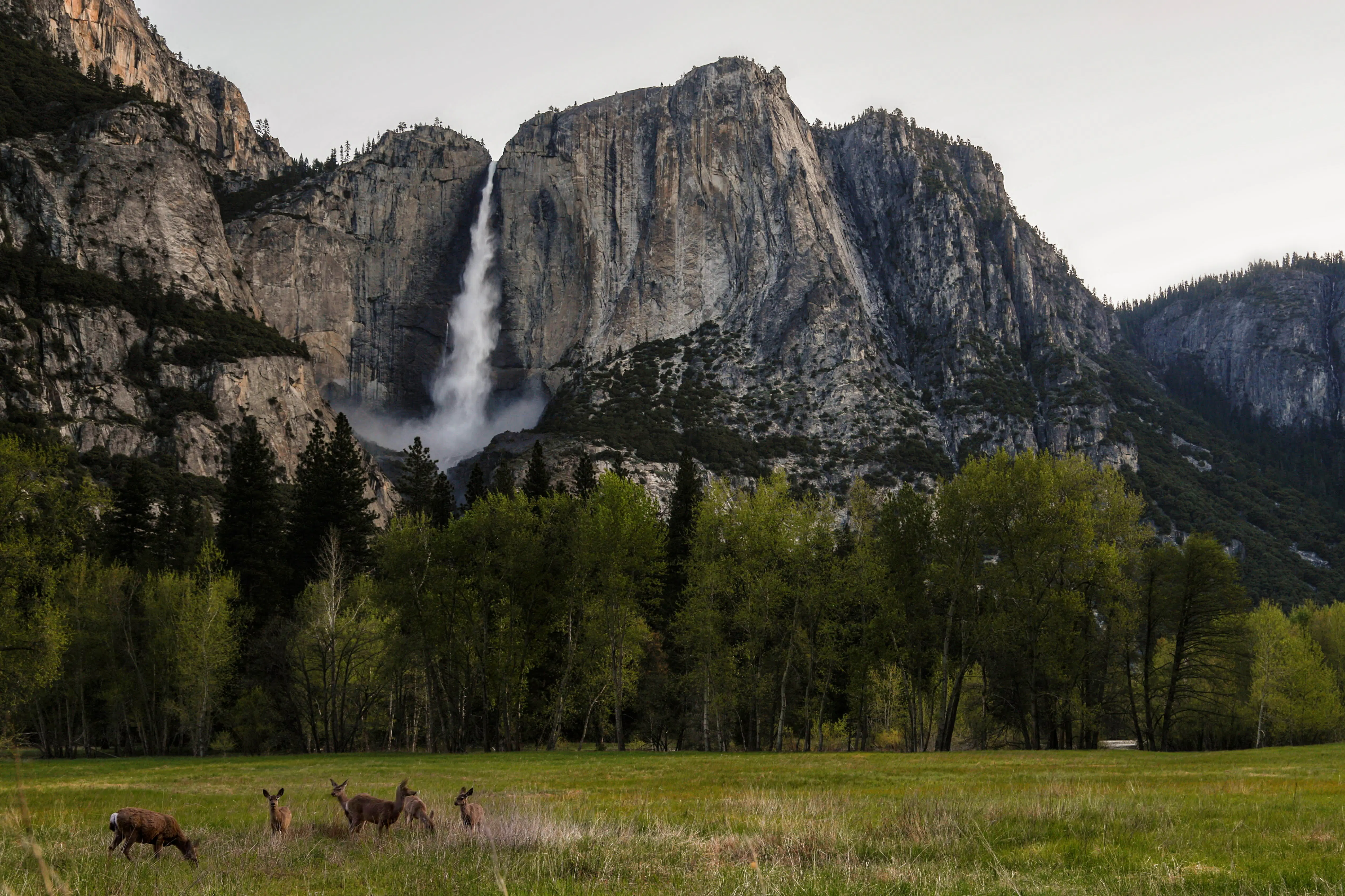 11 stunning waterfalls at Yosemite National Park - Lonely Planet