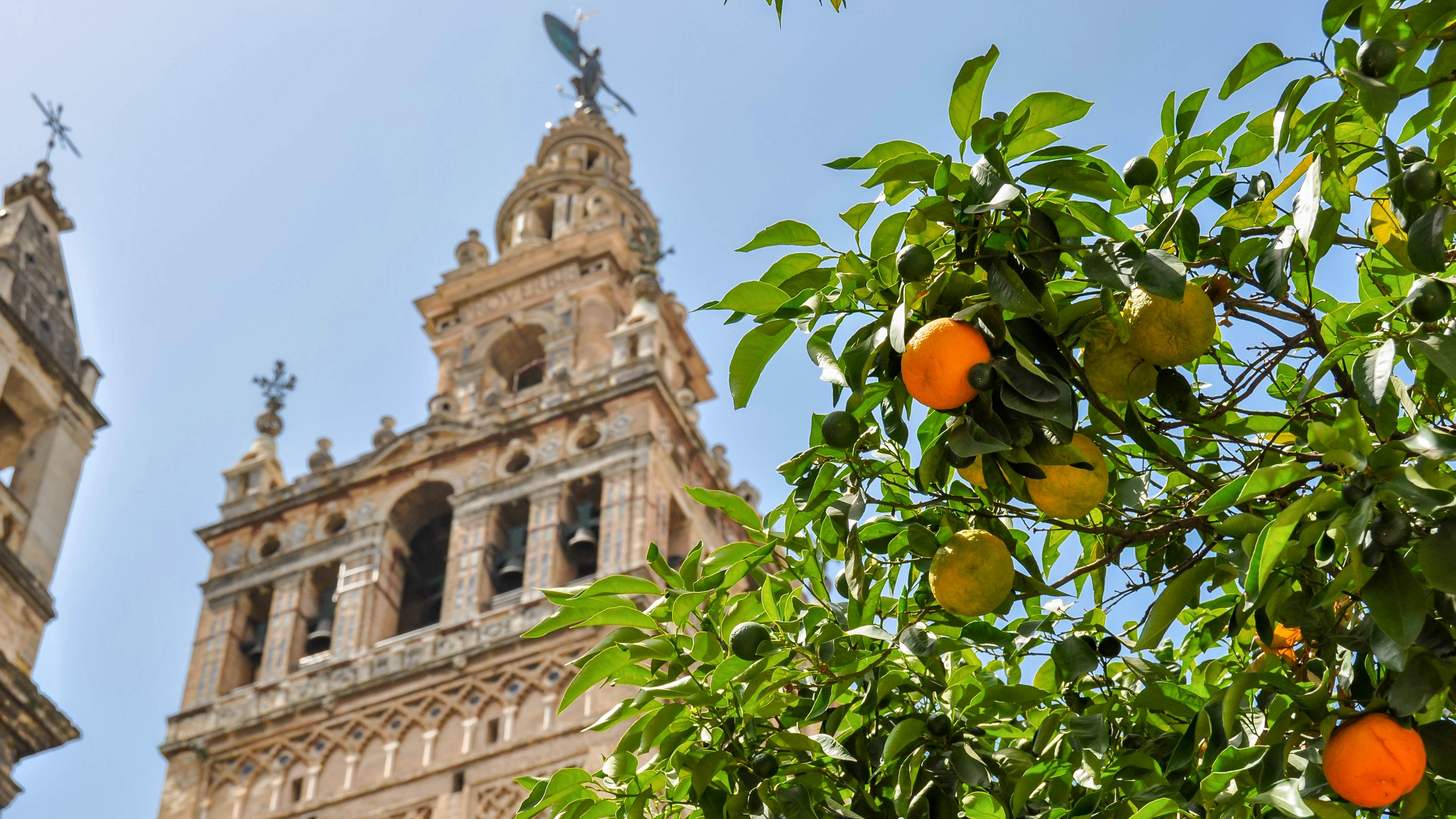 15 of the best things to do in Seville - Lonely Planet