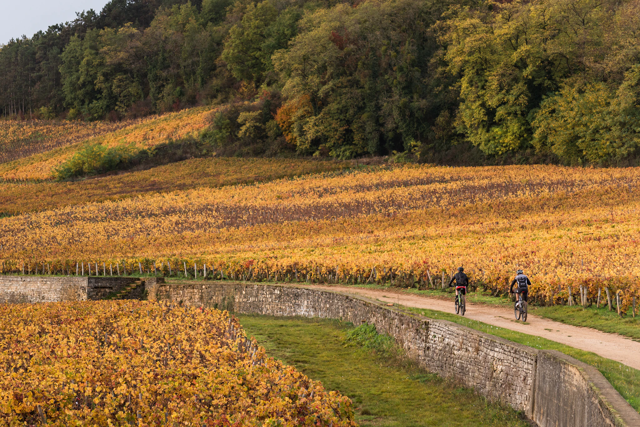 10 of the best places to go in Europe in autumn - Lonely Planet