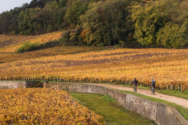 10 of the best places to go in Europe in autumn - Lonely Planet
