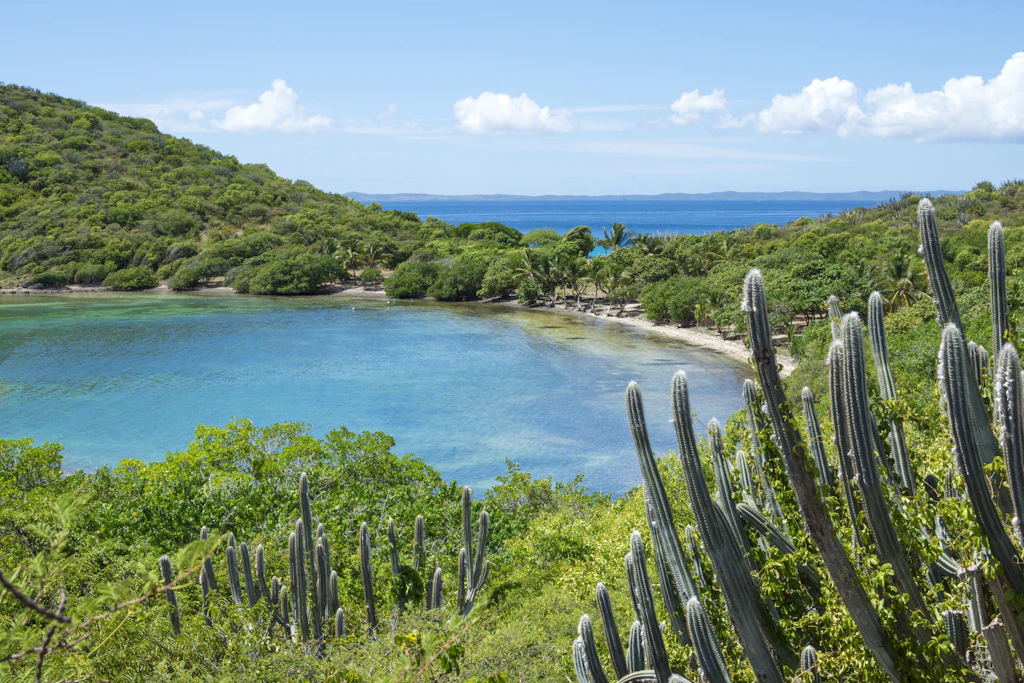 Culebra vs. Vieques: which Puerto Rican island is best to visit ...