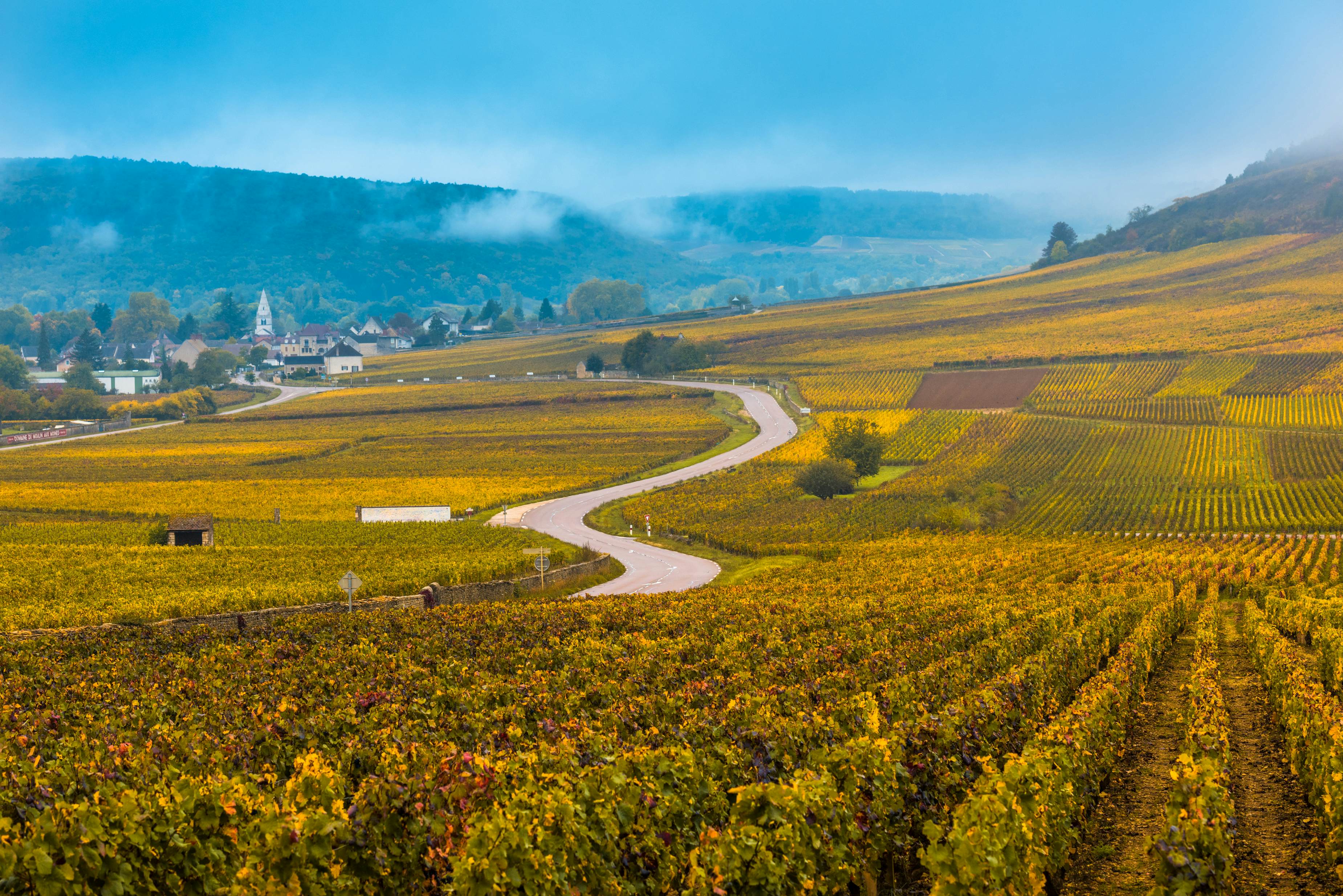 Driving Burgundy's Route des Grands Crus - Lonely Planet