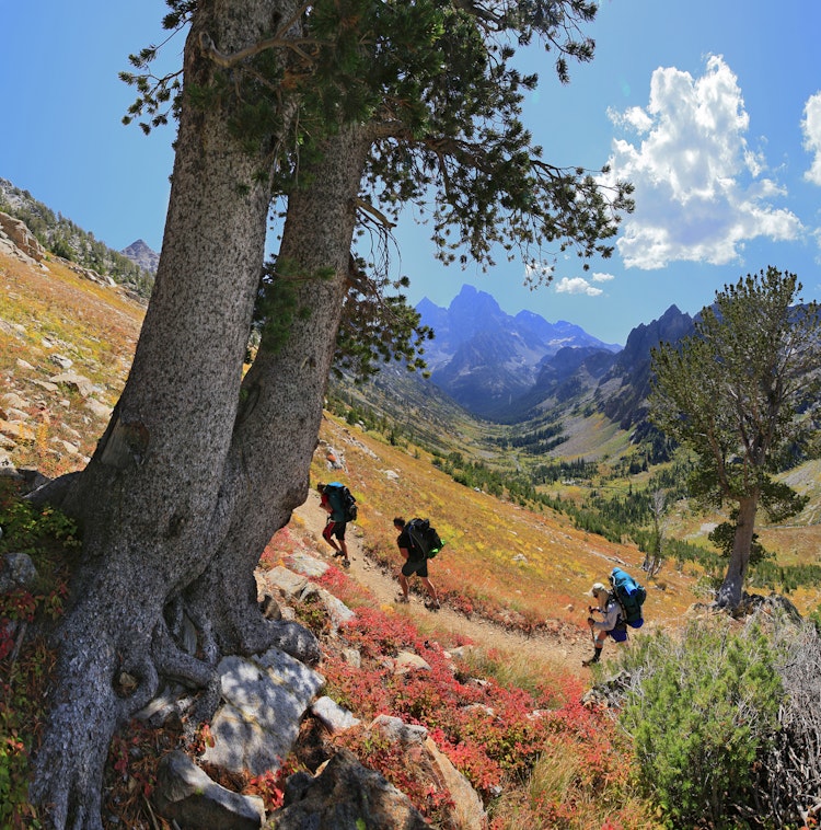 Best things to do in Grand Teton National Park - Lonely Planet