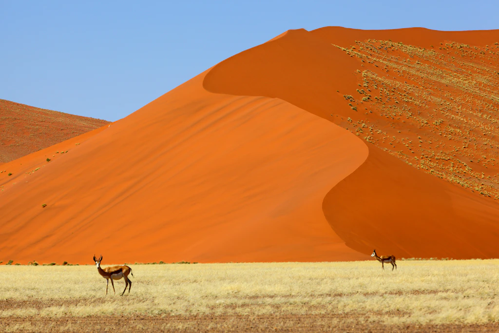 8 best places to visit in Botswana - Lonely Planet