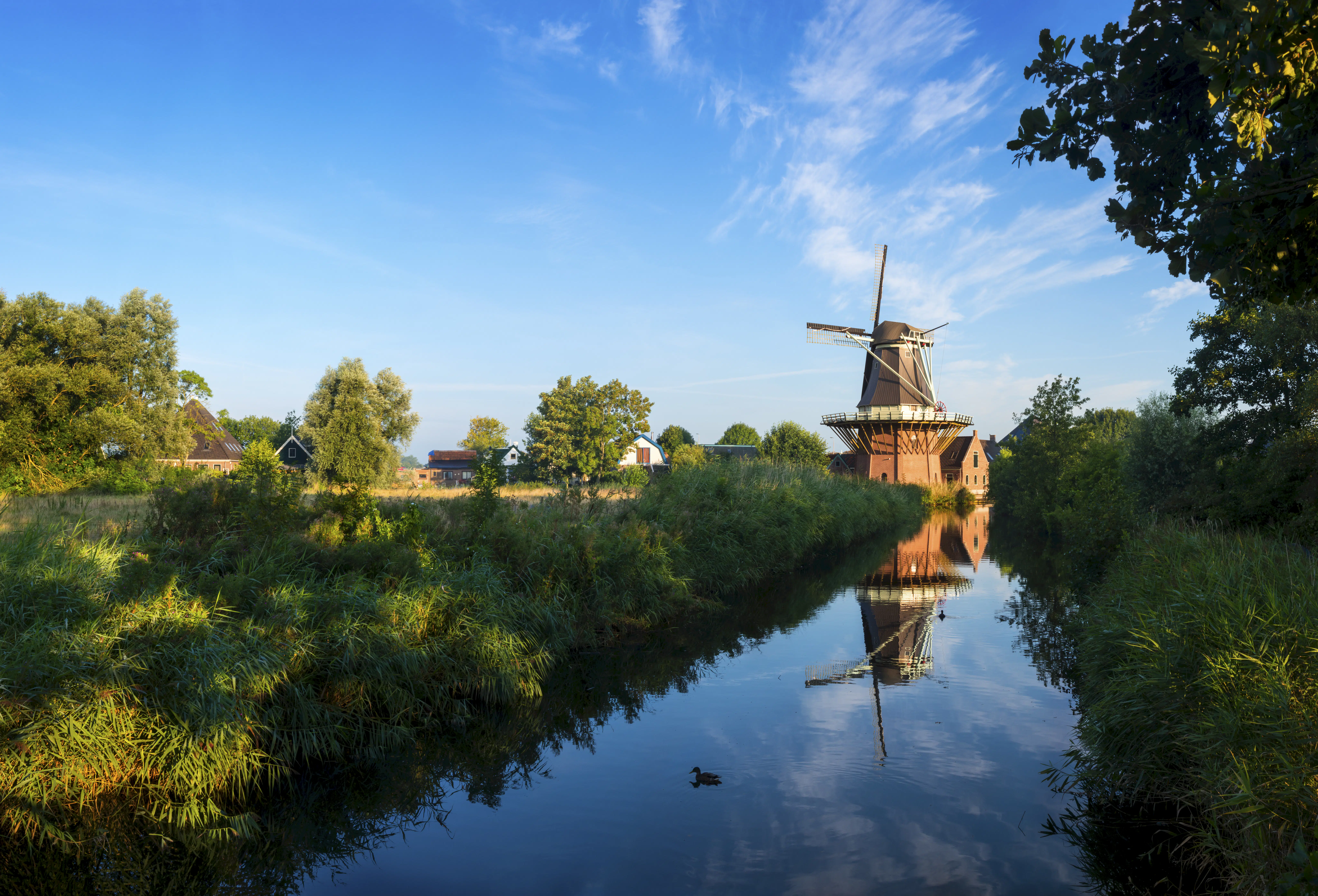 The Netherlands' 11 best cycling routes and locations - Lonely Planet