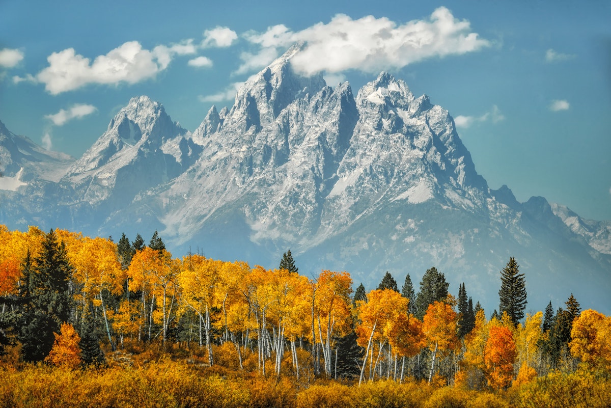 The 8 best hikes in Jackson Hole - Lonely Planet