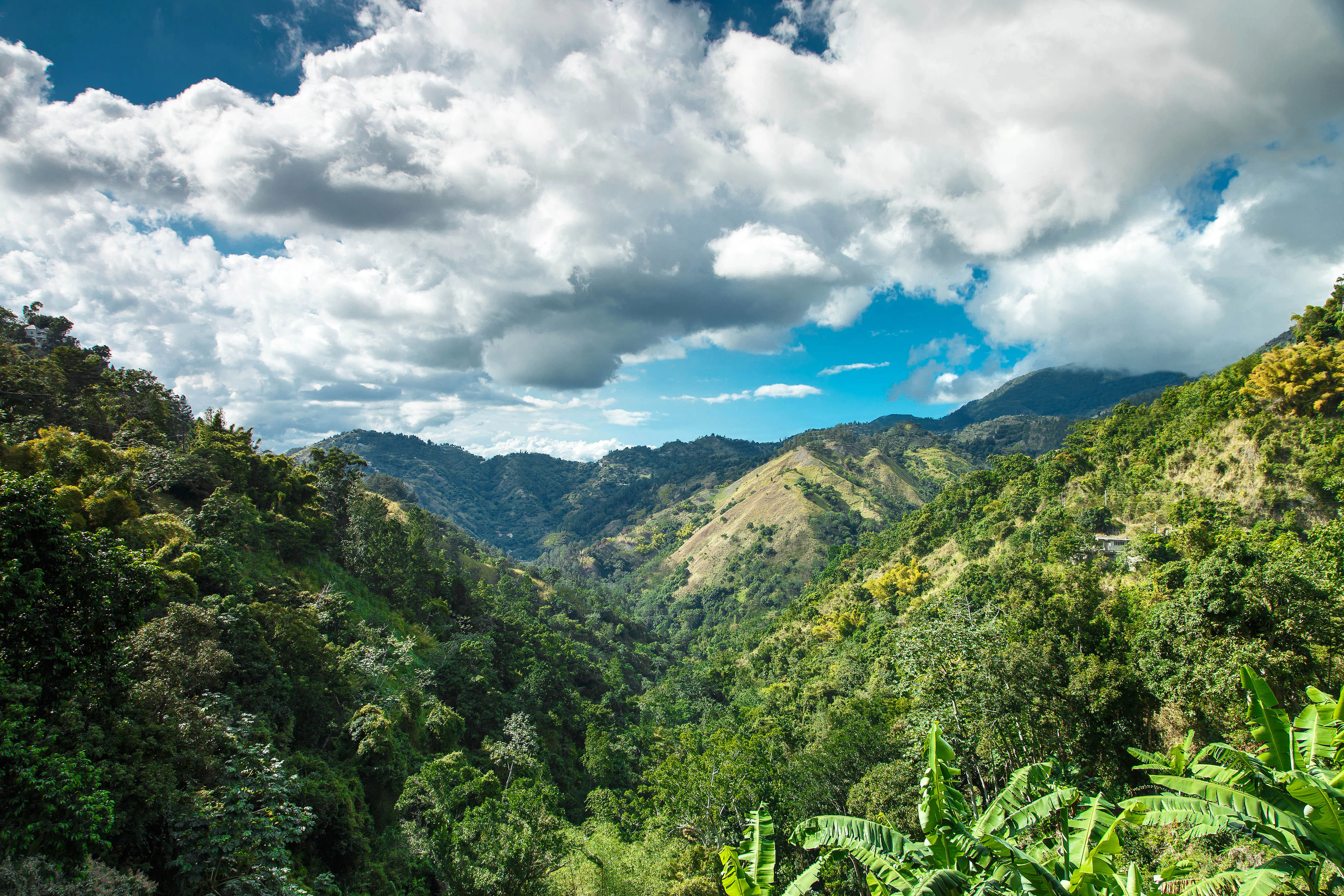 The 6 best hikes in Jamaica for tropical adventurers - Lonely Planet