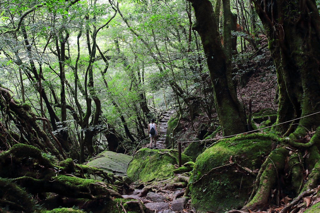 The 6 best hikes in Japan - Lonely Planet