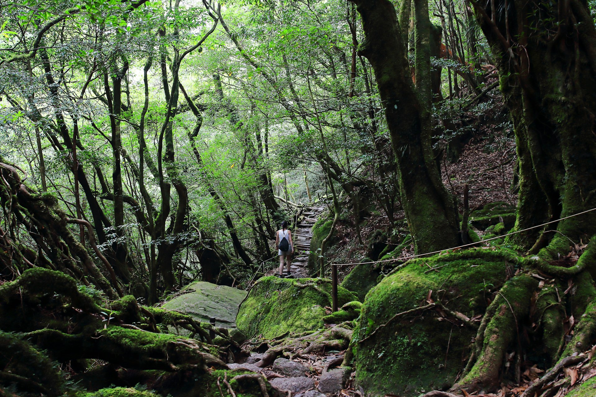 The 6 best hikes in Japan - Lonely Planet