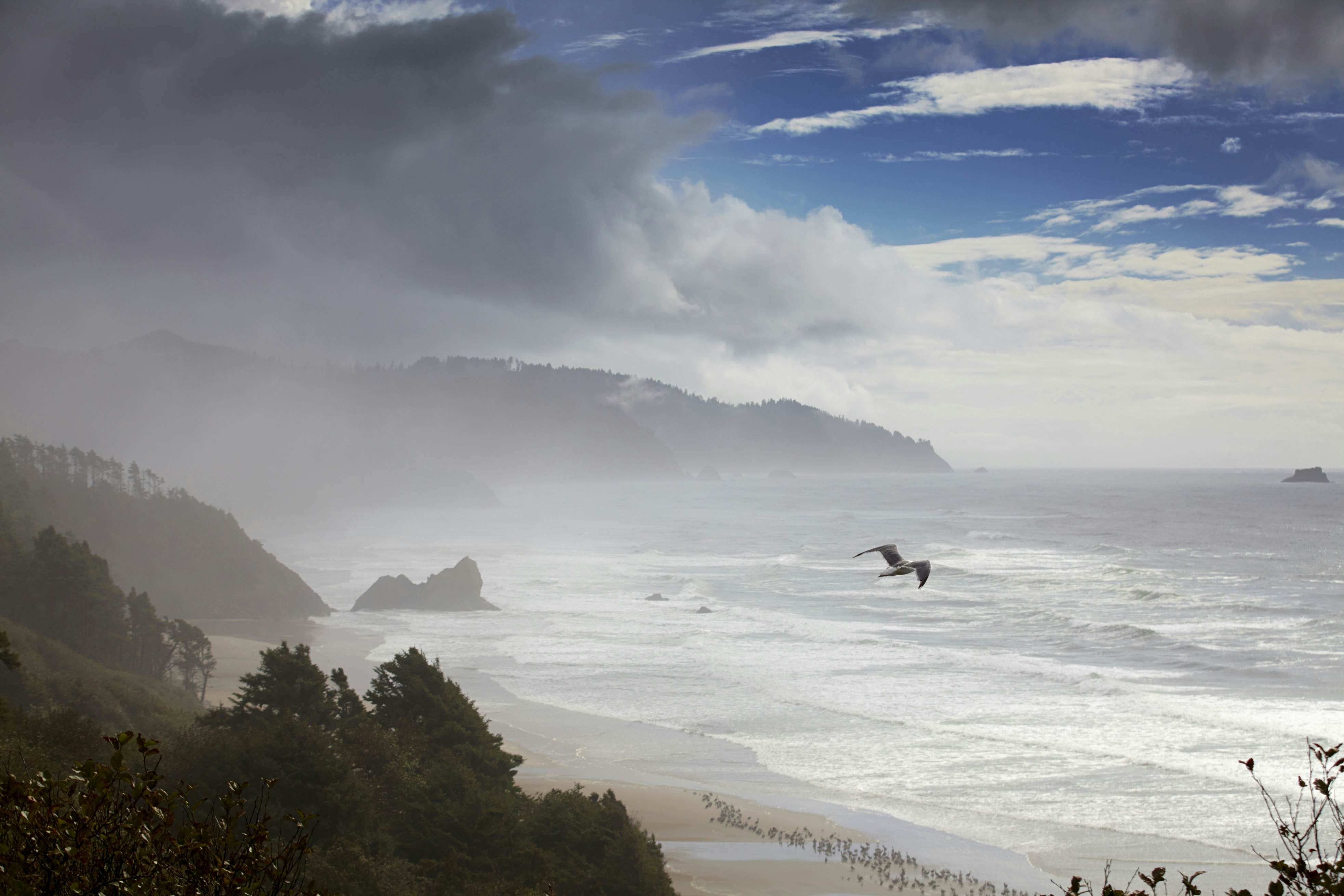 The 13 best beaches in Washington - Lonely Planet