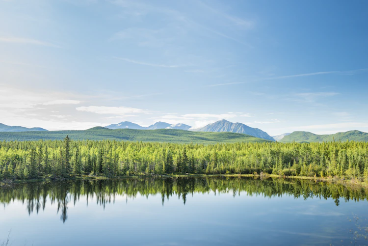 14 great things to do with kids in Canada - Lonely Planet