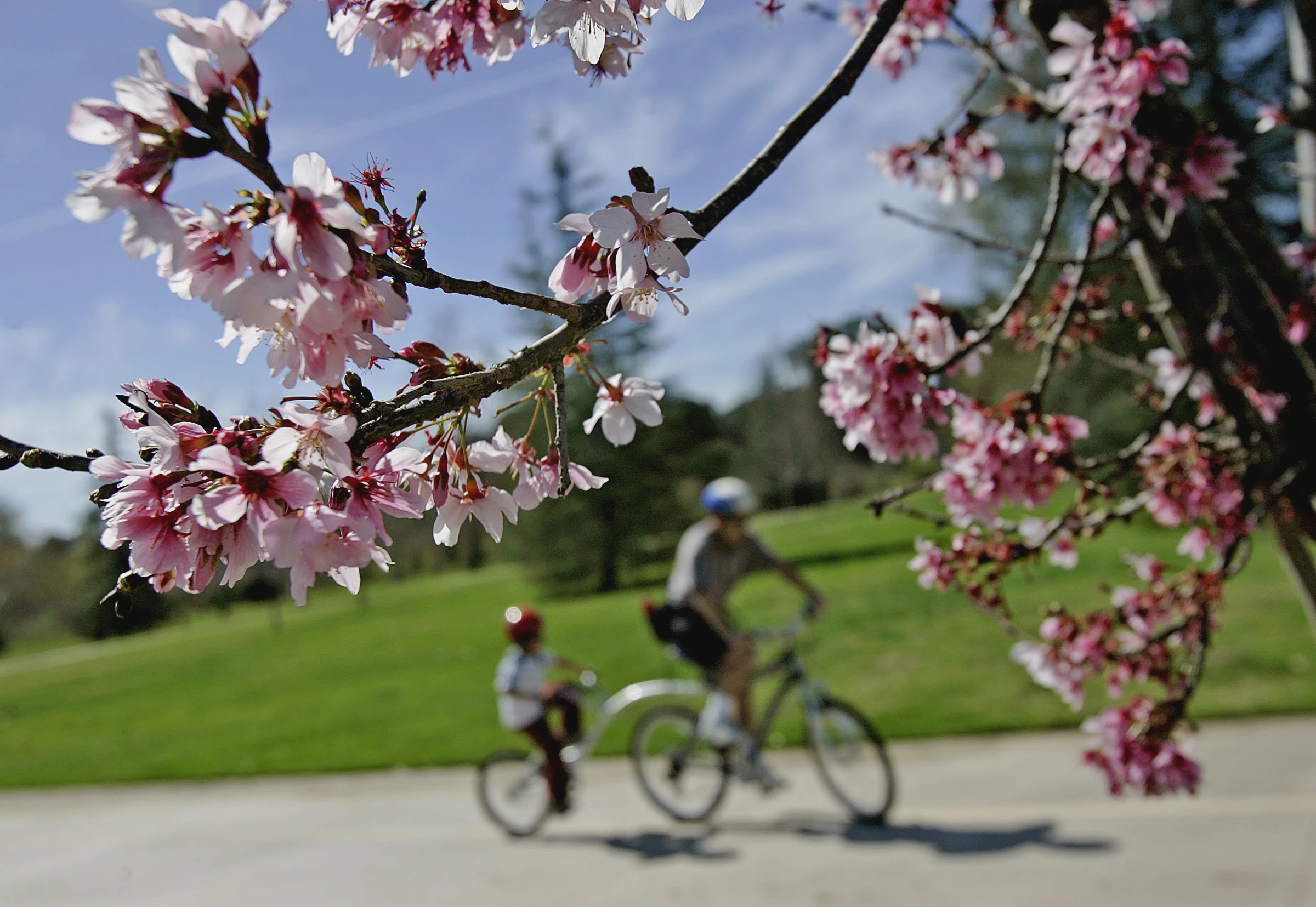 Best Parks in Los Angeles - Lonely Planet