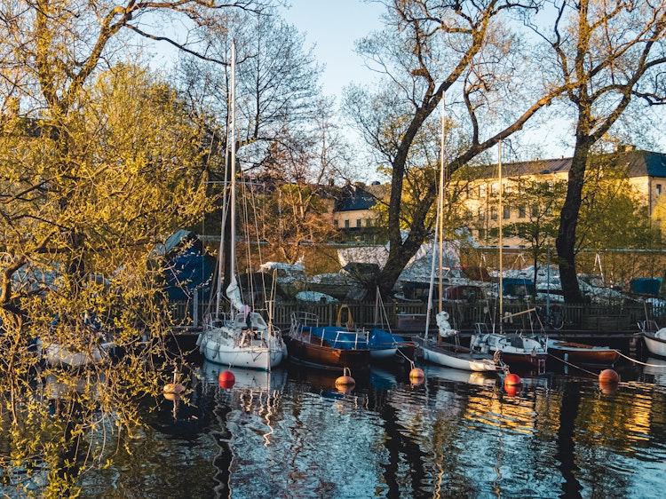 Stockholm's best parks and gardens - Lonely Planet