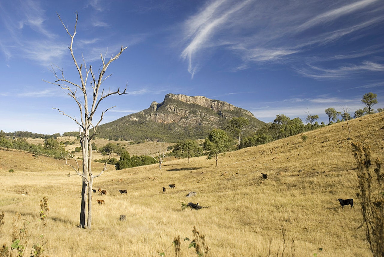 5 best hikes in the Scenic Rim - Lonely Planet