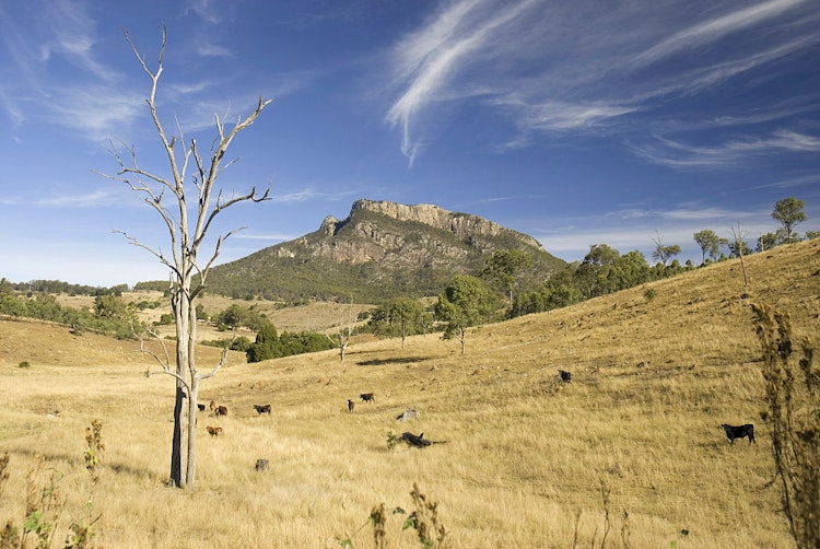 5 best hikes in the Scenic Rim - Lonely Planet